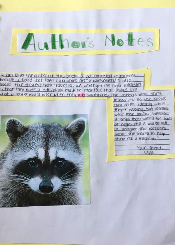 Racoons- a school project by Diva Tom - Our Own Kids Club